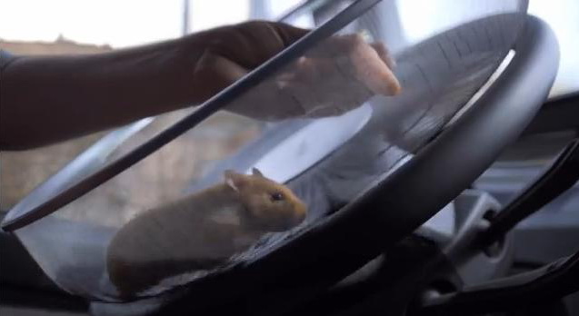 Volvo ผุดโปรเจ็คสุดเสียว "หนูแฮมสเตอร์" ขับรถบรรทุกไต่เขา