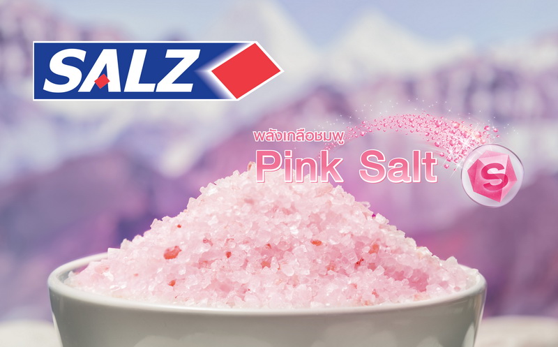 SALZ อัพเลเวล “เค็มแต่ดี” สู่ “มีดีกว่าที่เค็ม” ต่อยอดจุดแข็งด้วย ...