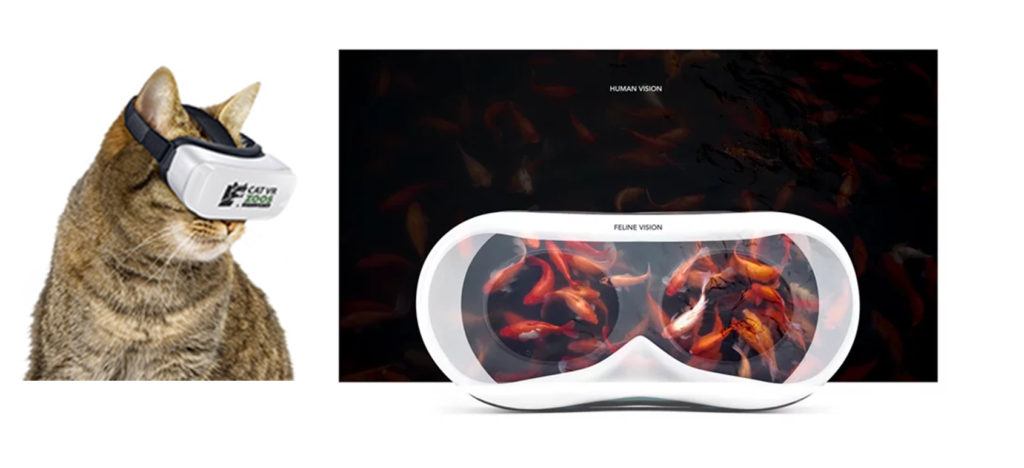 #ทาสแมว จงดู! "Cat VR " VR สำหรับแมวโดยเฉพาะก่อนที่พวกมันจะครองโลก ...