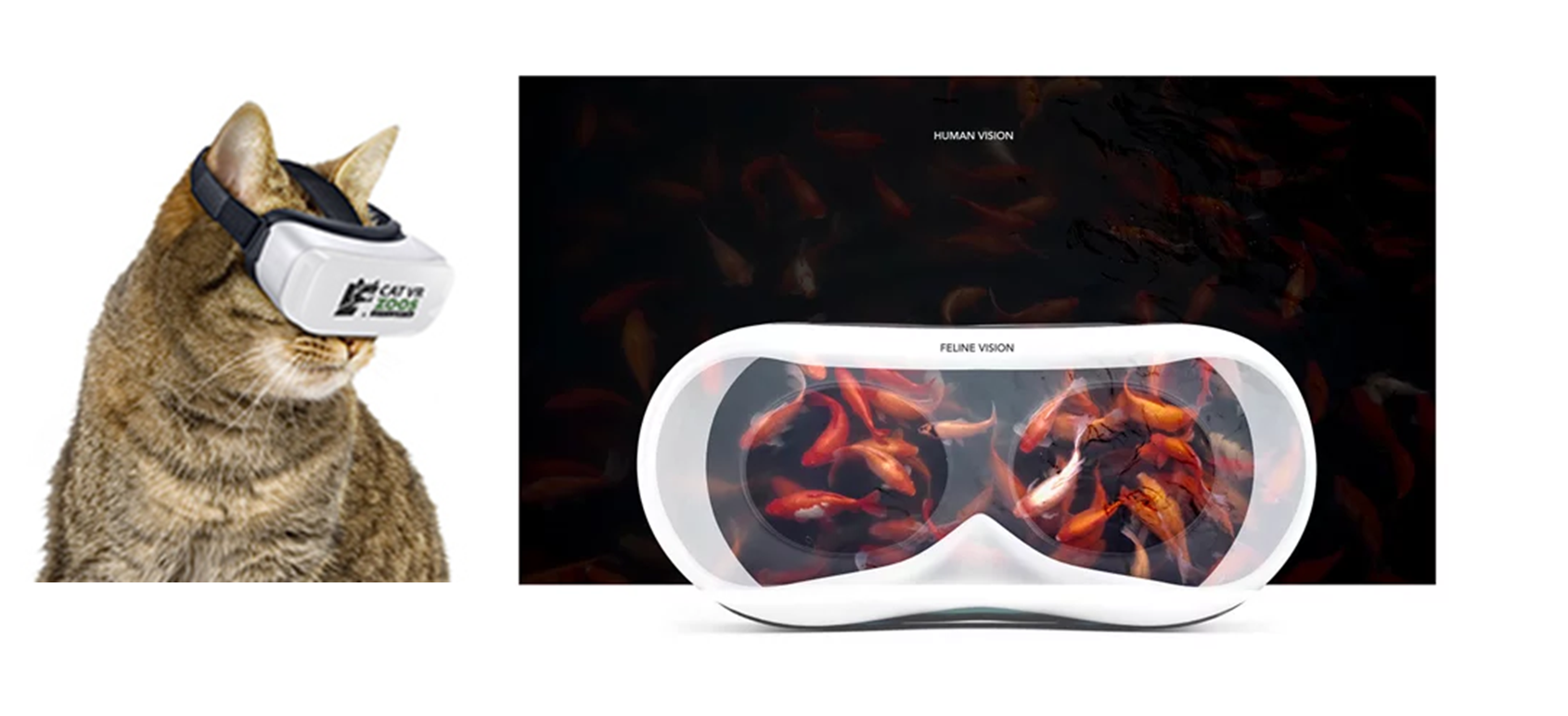 #ทาสแมว จงดู! "Cat VR " VR สำหรับแมวโดยเฉพาะก่อนที่พวกมันจะครองโลก ...