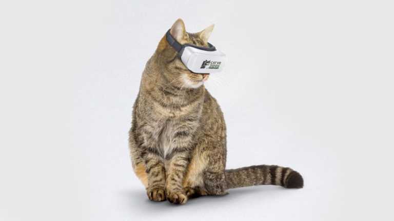#ทาสแมว จงดู! "Cat VR " VR สำหรับแมวโดยเฉพาะก่อนที่พวกมันจะครองโลก ...