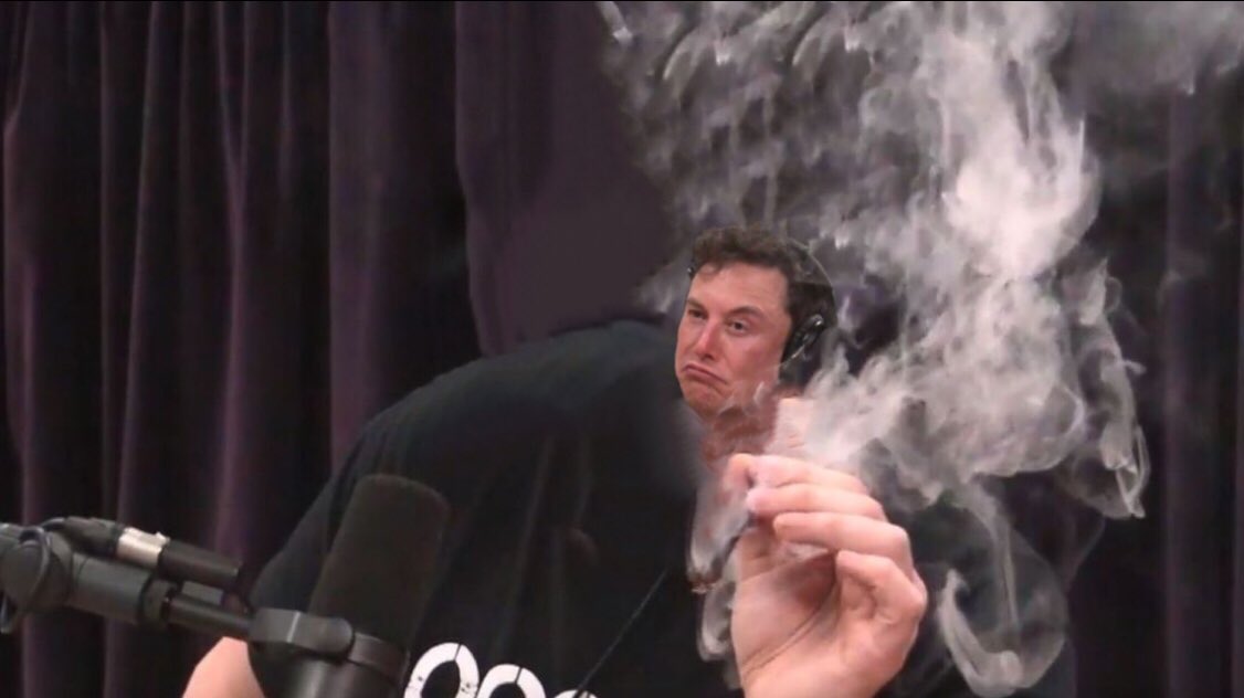 Elon Musk with marijuana - Brand Buffet