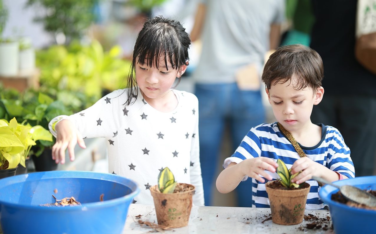 AP สานต่อ PROJECT GROW ชวนเยาวชนเข้าใจ 'ต้นไม้' ร่วมกันสร้าง 'มหานครสี ...