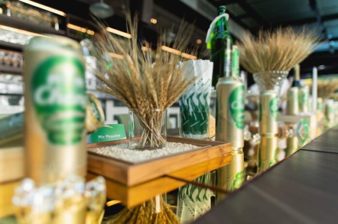 กรณีศึกษา “ไทยเบฟ” ปั้นพอร์ตฯ ธุรกิจเบียร์ เปิดตัว “Cold Brew” - เตรียม ...