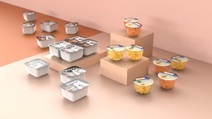 “SCG Packaging” กระจายความเสี่ยงธุรกิจ เน้นโตตลาดอาเซียน มากกว่าไทย ...