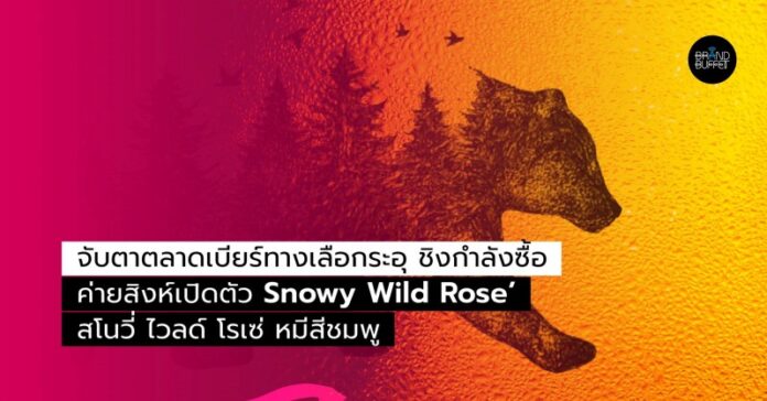 จับตาตลาดเบียร์ทางเลือก ระอุ ชิงกำลังซื้อผู้บริโภคช่วงโควิด สิงห์ ...