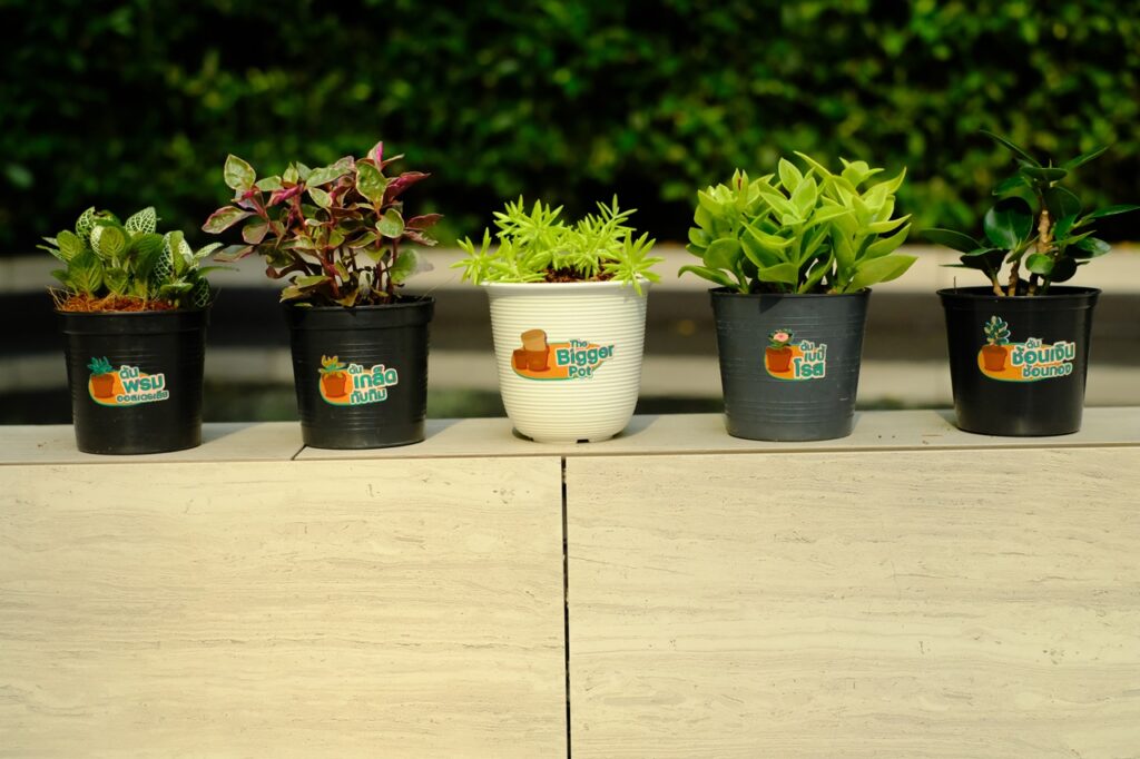 เปิดแนวคิด "บ้านปู" สะท้อนภาพองค์กร People Driven นำพนักงานสู่การเติบโต ...