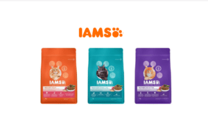 กระแส Pet Parent มาแรง “IAMS” อาหารแมวพรีเมี่ยมในเครือ Mars พร้อมบุก ...