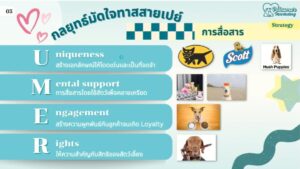 เข้าใจอินไซต์ Petsumer คนโสด-คนเหงา ทาสสายเปย์ เลี้ยงสัตว์แทนลูกมากสุด - Brand Buffet