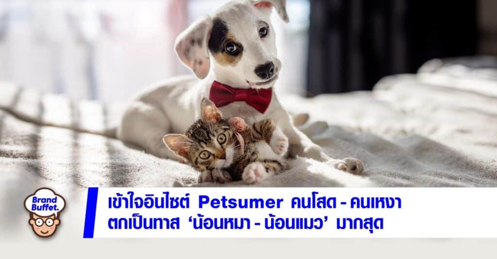 เข้าใจอินไซต์ Petsumer คนโสด-คนเหงา ทาสสายเปย์ เลี้ยงสัตว์แทนลูกมากสุด - Brand Buffet