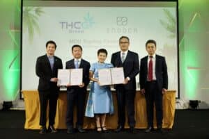 THCG Group x ENDOCA MOU CBD Products - Brand Buffet