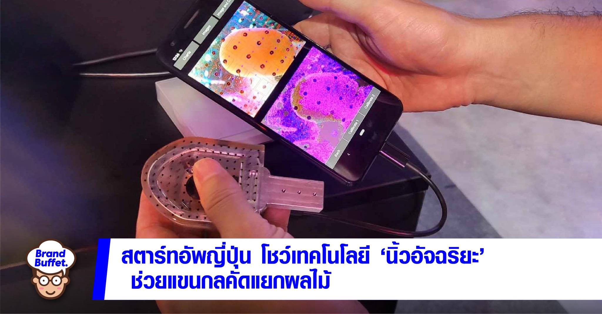 สตาร์ทอัพญี่ปุ่น FingerVision โชว์เทคโนโลยี "นิ้วอัจฉริยะ" ช่วยแขนกลคัดแยกผลไม้ - Brand Buffet