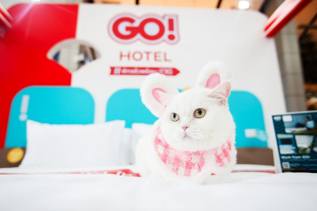 “เซ็นทรัลพัฒนา” ปั้น GO! Hotel ลุยปักหมุด 4 โลเคชัน “ระยอง-ชลบุรี” เจาะ ...