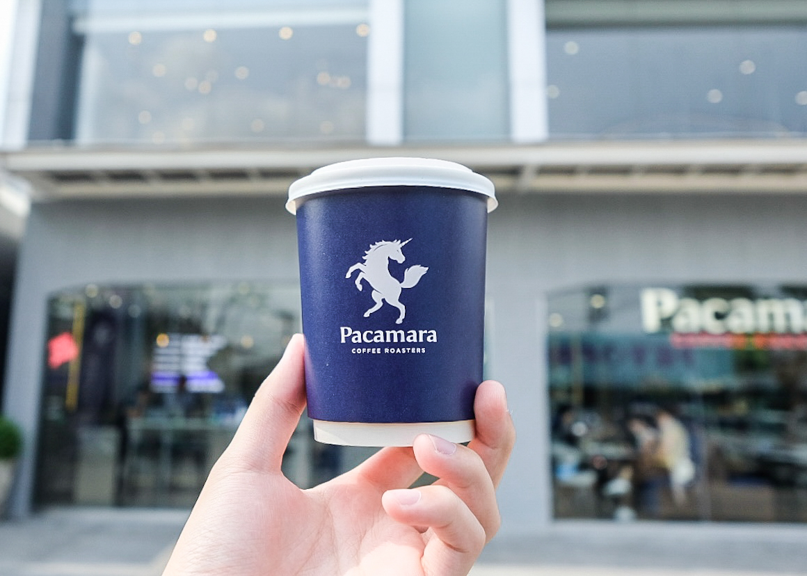 คนไทยกินกาแฟมากขึ้น และแพงขึ้น Pacamara Coffee Roasters ฉลอง 13 ปี ประกาศรายได้เติบโตขึ้น 40% ...