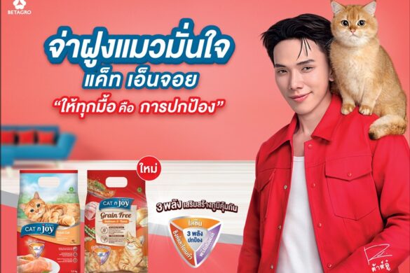 CAT n joy Archives - Brand Buffet