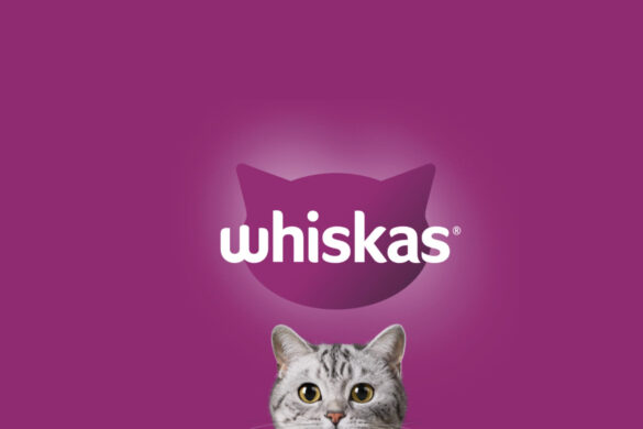 whiskas Archives - Brand Buffet