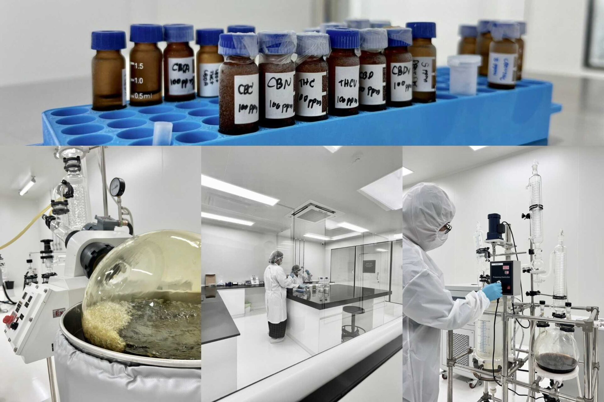 Diip ผลิตภัณฑ์ CBD เพื่อสุขภาพ กับโลกที่เต็มไปด้วยความเครียดส่งปัญหาถึง ...